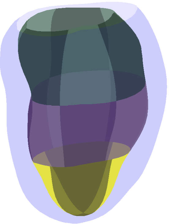 Cardiac Atlas Project - sharing a large-scale database of cardiac ...